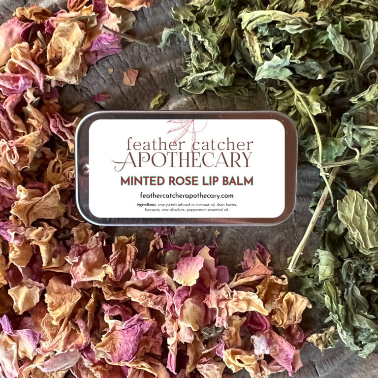 Minted Rose Lip Balm - New Mexico Remedios