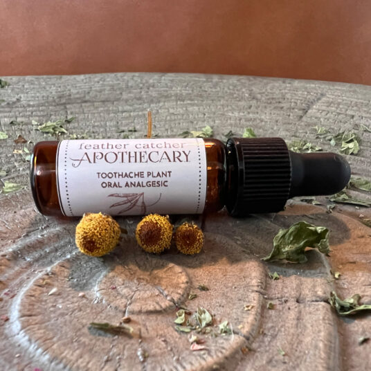 Toothache Plant Remedy - New Mexico Remedios